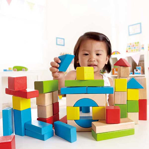 Colorful Maple Building Blocks with Pouch